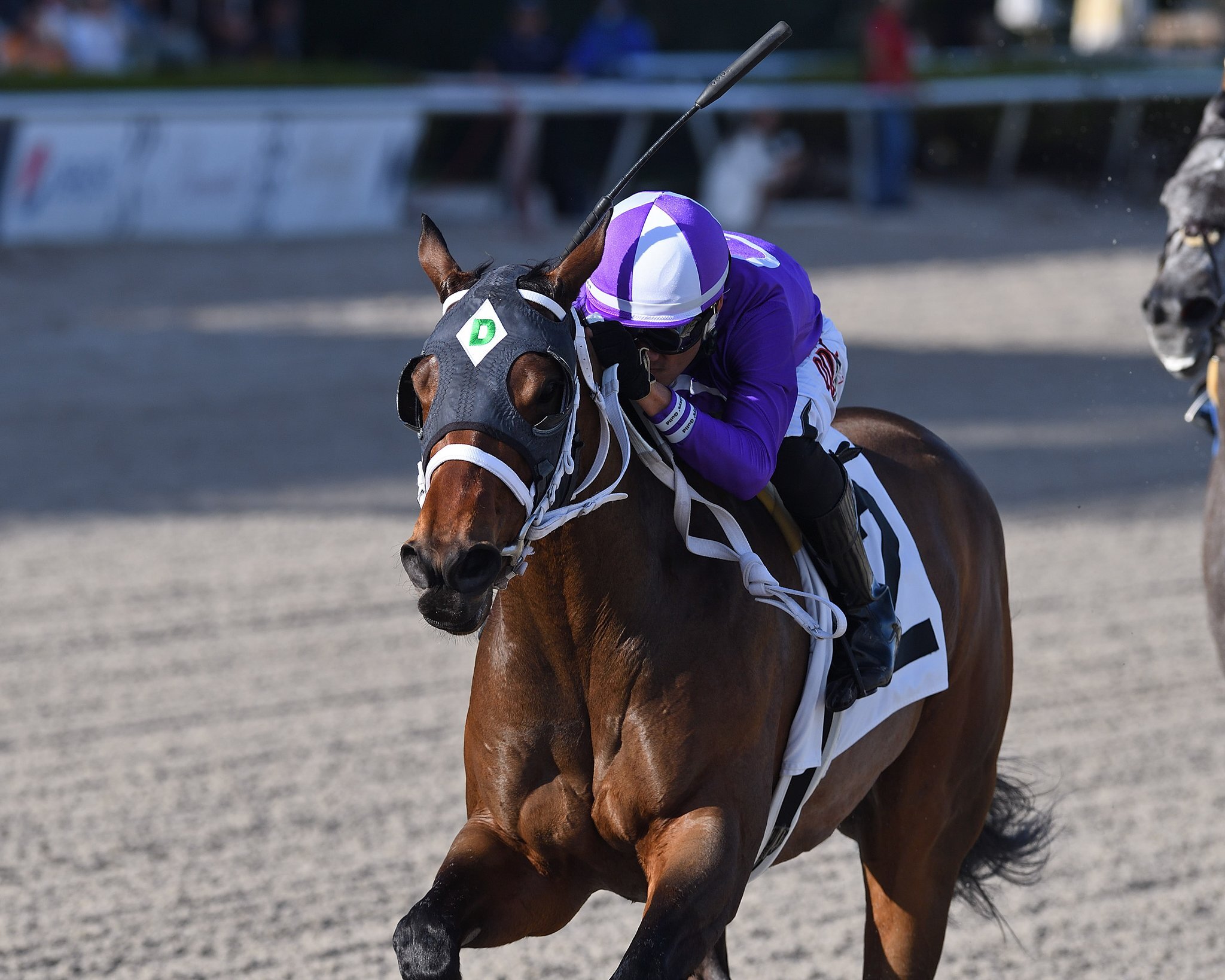 Delgado Seeks Breakthrough With Olivia Darling In 100k Regret Past The Wire